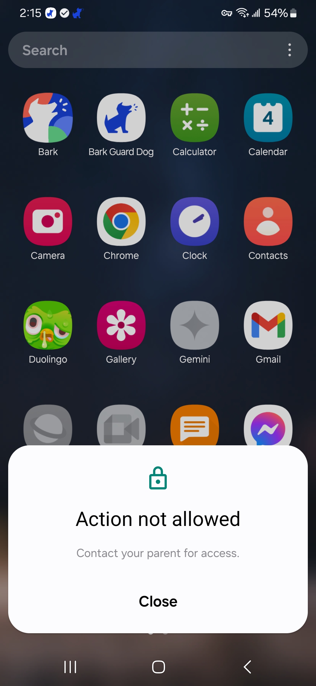 "Action not allowed" message on a Bark Phone – Bark